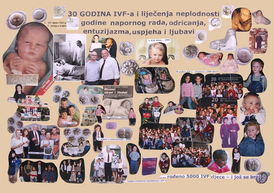 ICSI - Dr. Velimir Šimunić | Klinika za neplodnost